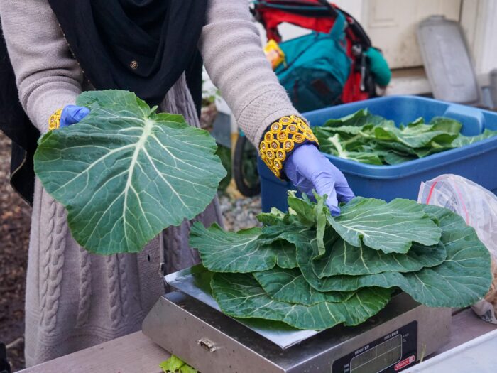 Thank you for making this year's Grow Local, Give Local campaign a ...