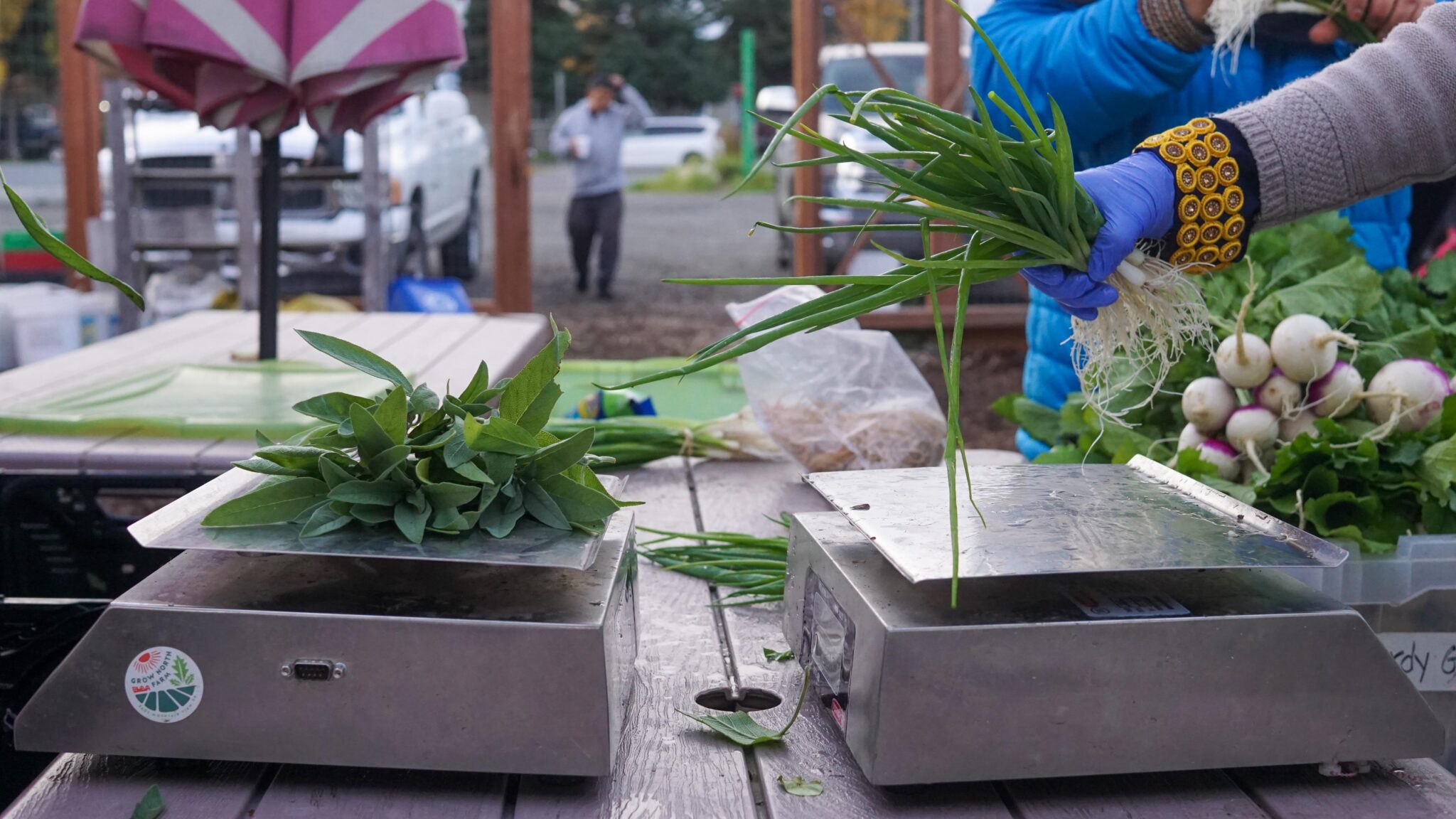 Thank you for making this year's Grow Local, Give Local campaign a ...